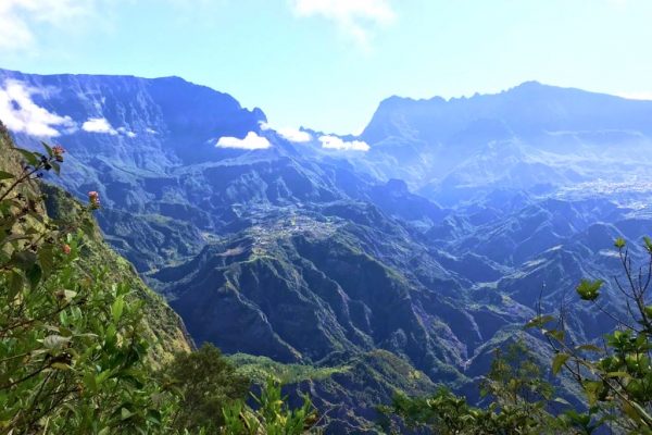 Bassin Cormoran - Ile de la Réunion
