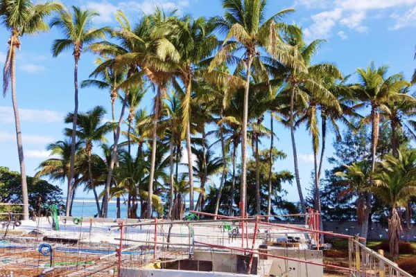 OcéanOr - Ile de la Réunion