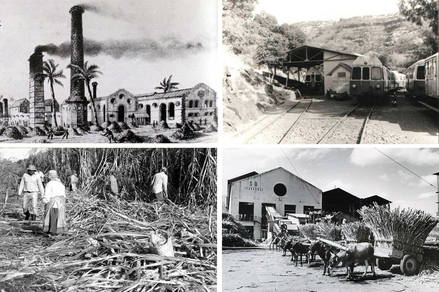 Reunion Island Guide - Reunion Island