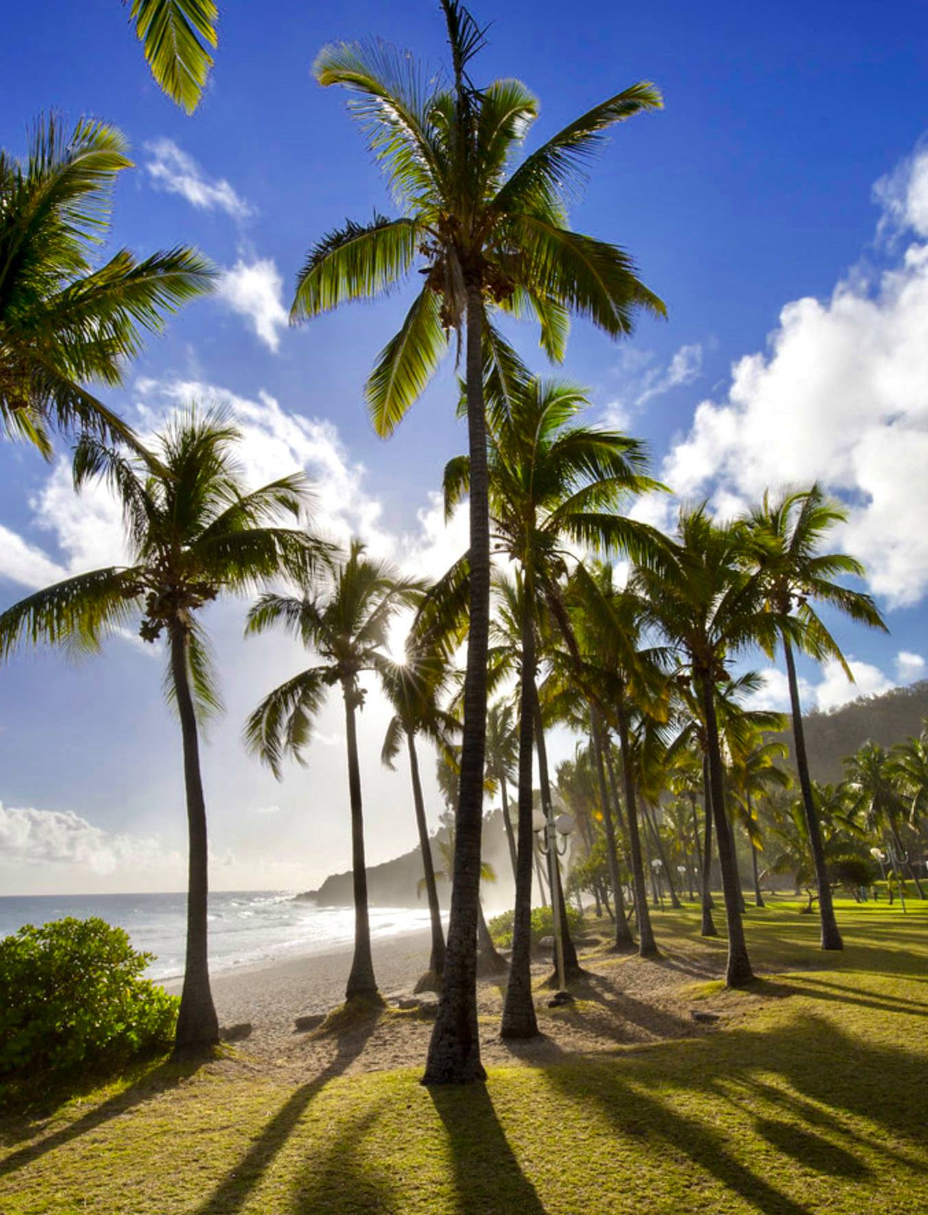 La Réunion - Ile de la Réunion
