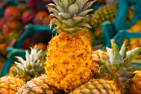L'Ananas Victoria de La Réunion - Ile de la Réunion